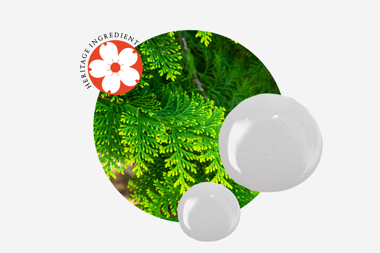 Natural Men's face Deep Cleanser-ILEM JAPAN US